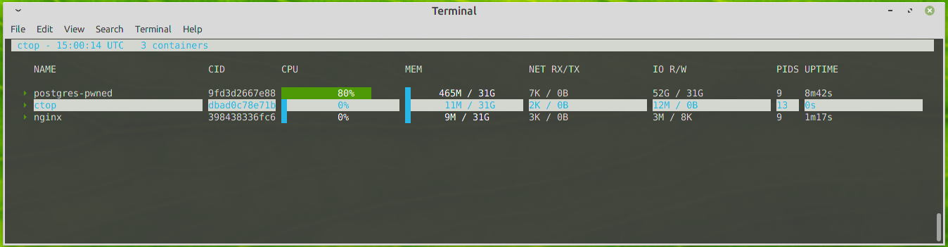 Running CTOP in Docker – www.kaper.com